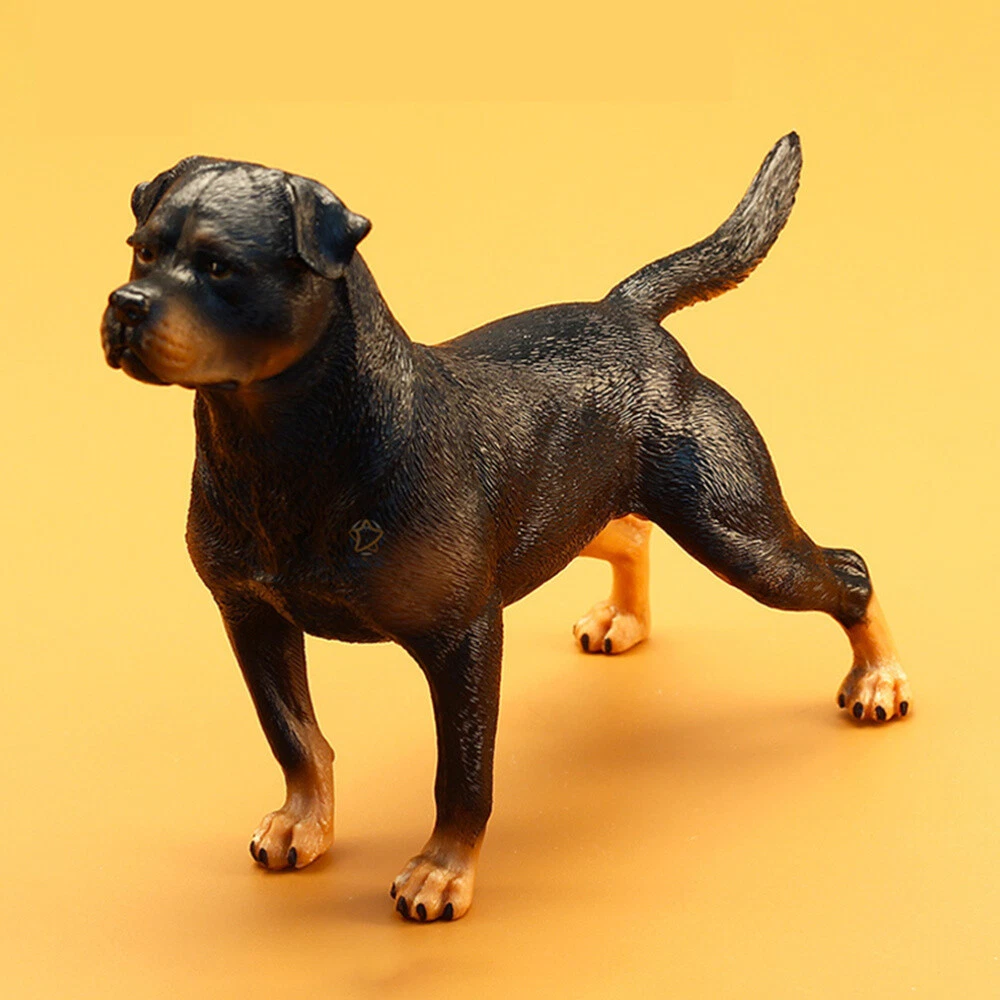 Mini Rottweiler