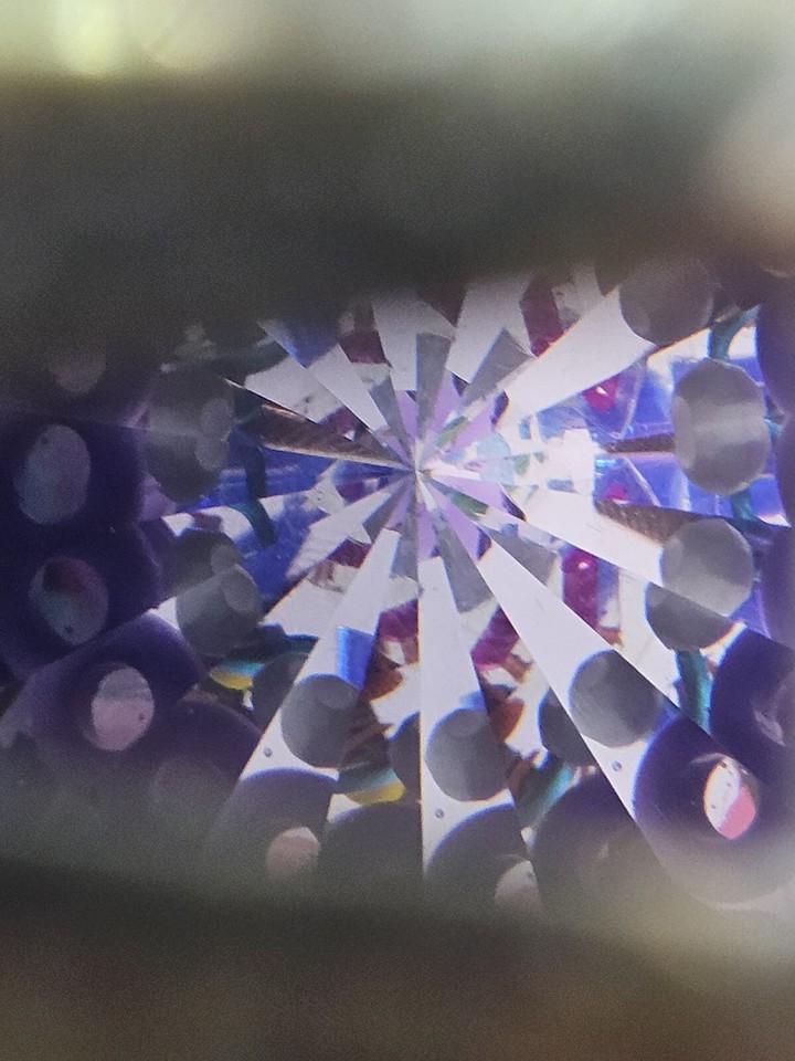 SUE RIOUX - The Sea Parrot - "COLORS" 69 Slag Stained Glass ...