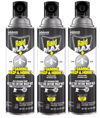 3~Raid Max Wasp & Hornet Killer Foam 16.5oz Fast acting Ready to Use ...