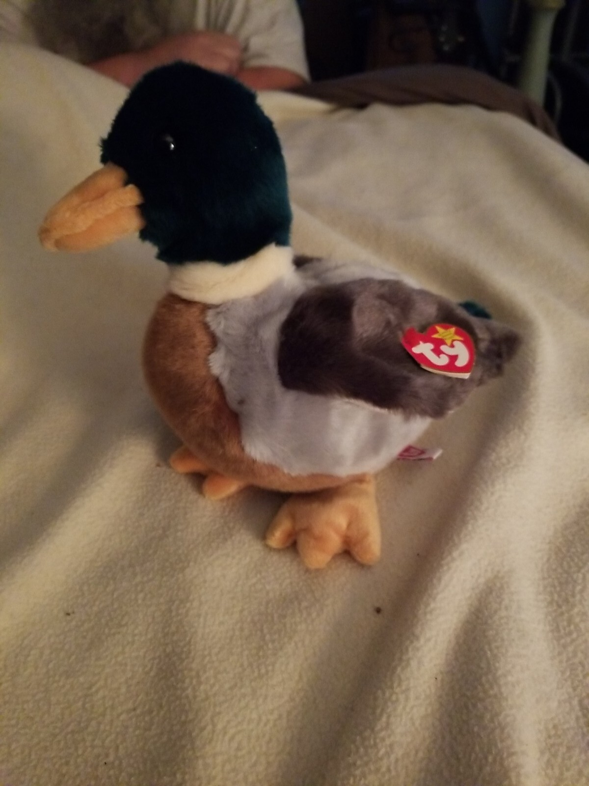 Ty Original Beanie Buddy Jake The Mallard Duck Retire 9" Plush Toy With ...