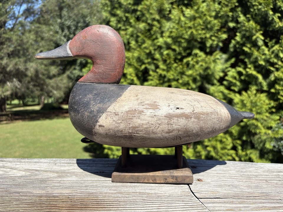 Antique Cecil County Canvasback Drake Decoy | eBay