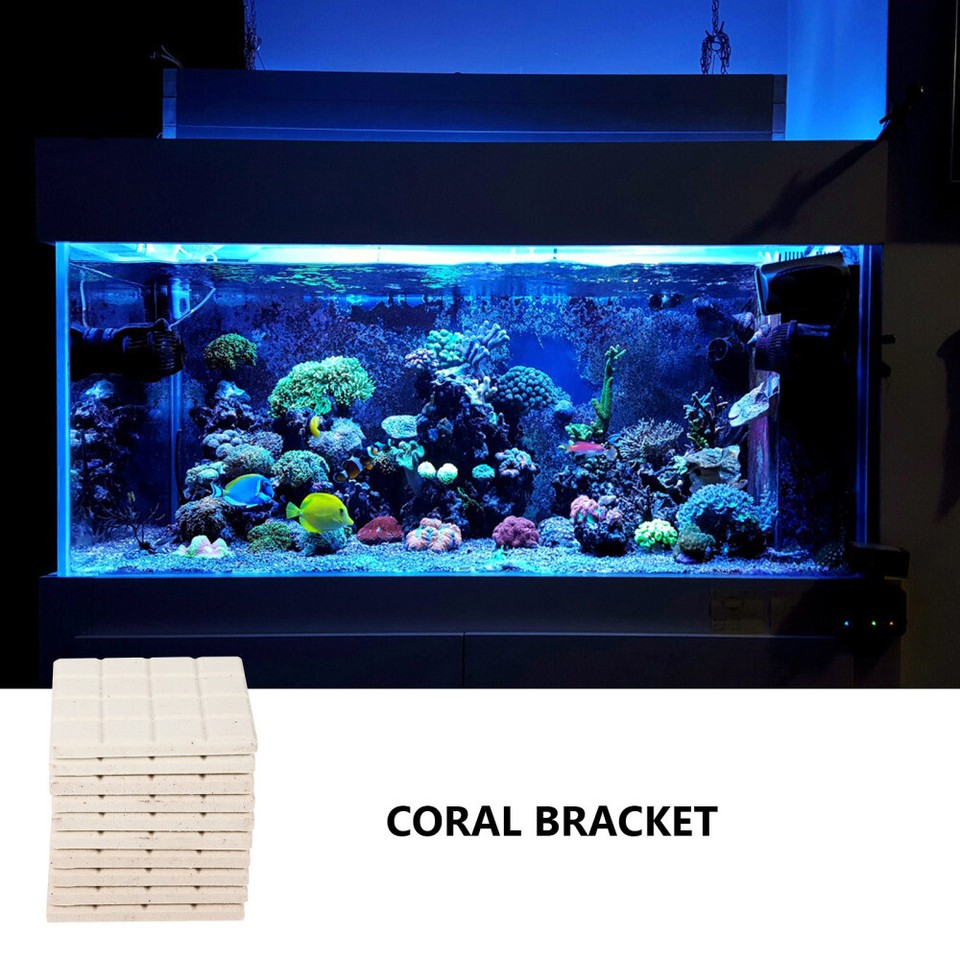 10 PCS Ceramic Coral Disks Frag Rack Frame Support Aquarium Base | eBay UK