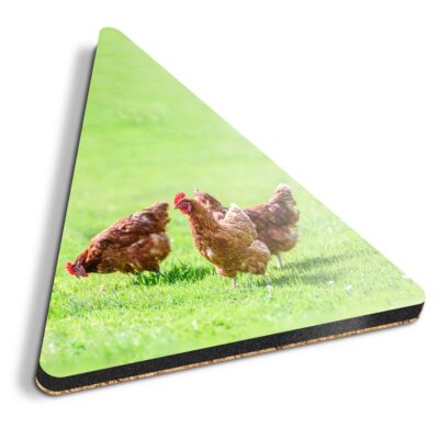 1x Triangle Coaster - Free Range Chicken Hen Farm #45069 | eBay UK