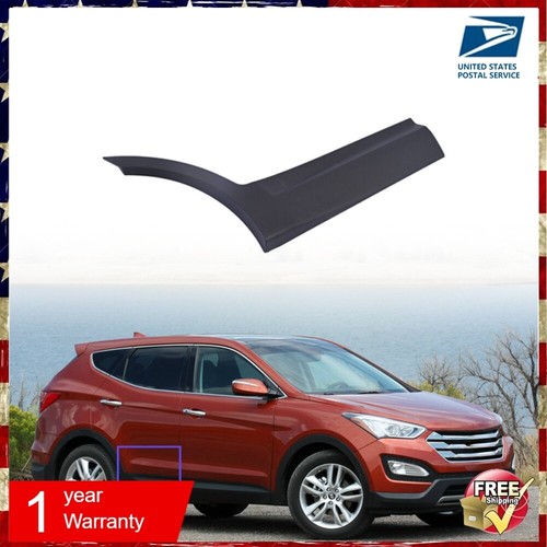 Rear Door Molding Right Side Fit Hyundai Santa Fe 3.3L 2013-18 ...