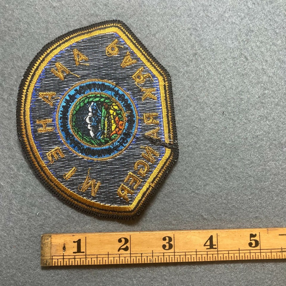 Anaheim Park Ranger Police Patch I7 | eBay