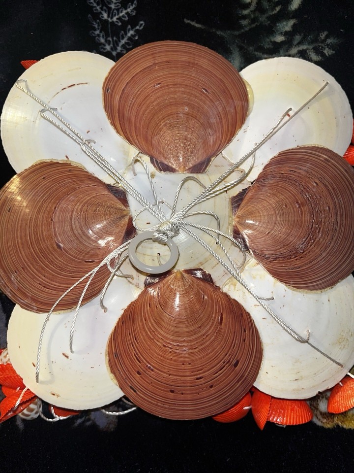 Shell Mobile | eBay UK