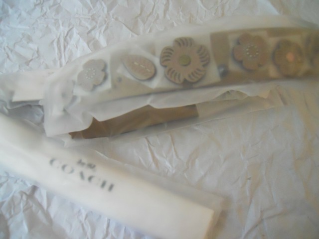 Coach Leather Novelty Strap With Tea Rose and Tooling 87323 Stone RARE ...