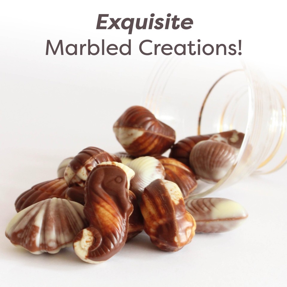 Belgian Chocolate Seashells 22 Gourmet Hazelnut Praline Truffles by ...