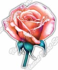 Bright Pink Red Sexy Rose Bud Flower Car Bumper Window Vinyl Sticker ...