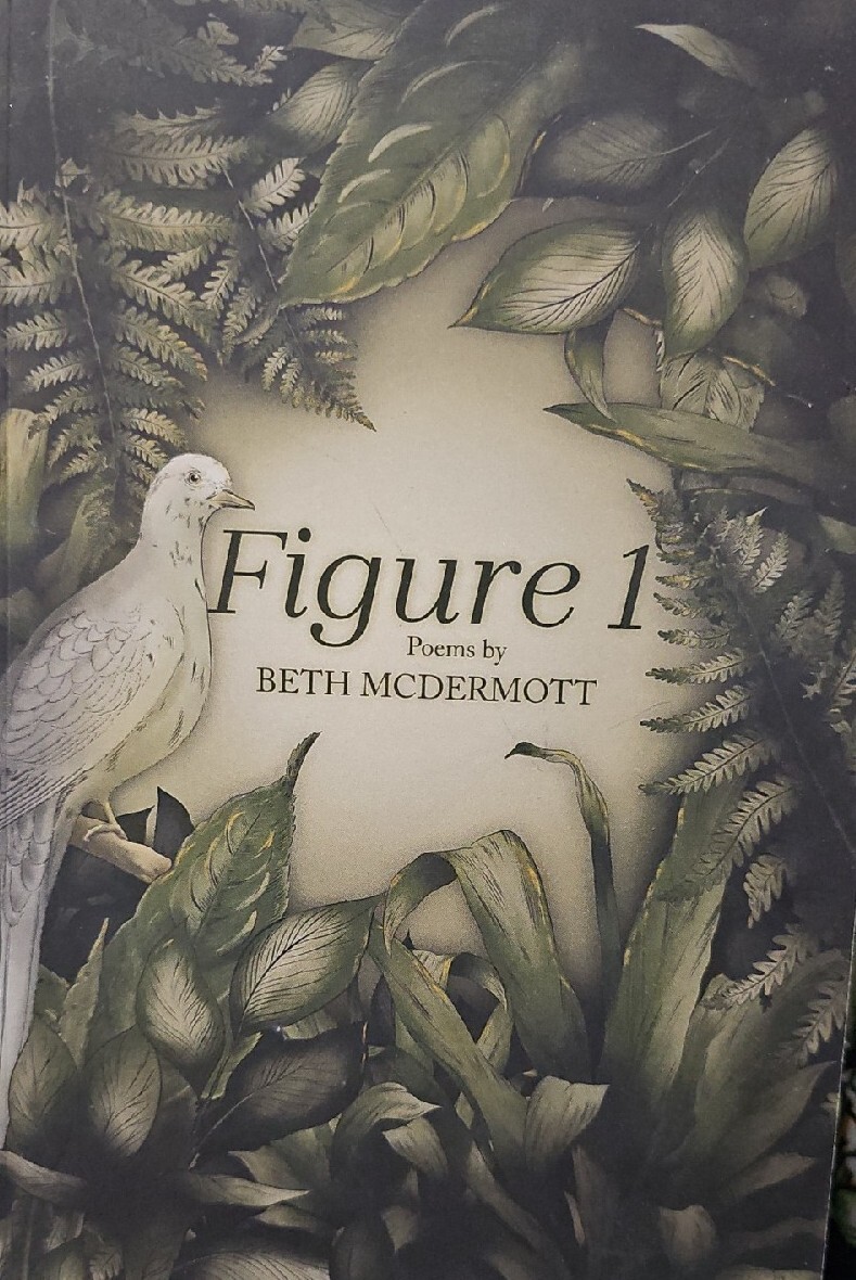 Figure 1, Poems by Beth McDermott, 2022, Pine Row Press, Like new ...
