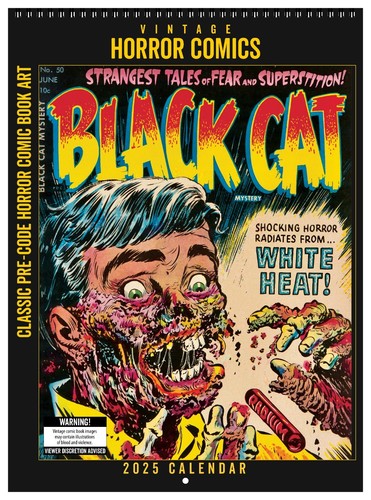 Asgard Press 2025 Vintage Horror Comics Wall Calendar 11"x30" (size ...