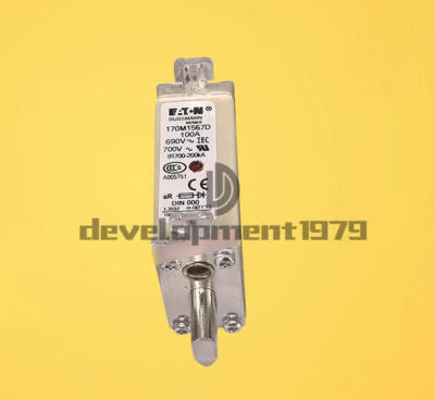 ONE NEW Eaton Bussmann 170M1567D ( 100A ) 690Vac Power Module Fuse | eBay
