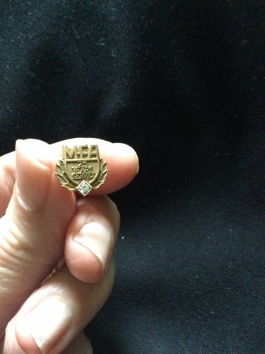14K Yellow Gold MFA 25 Year Service Pin with Mine Cut Diamond | eBay