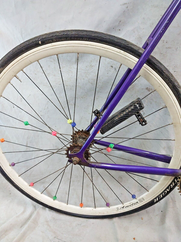 2010 1/8 inch FlipFlop Fixed Gear Bike 57cm Medium Fixie SS Steel ...