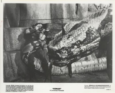 Conan The Barbarian Arnold Schwarzenegger wrestling Snake Original 8x10 ...