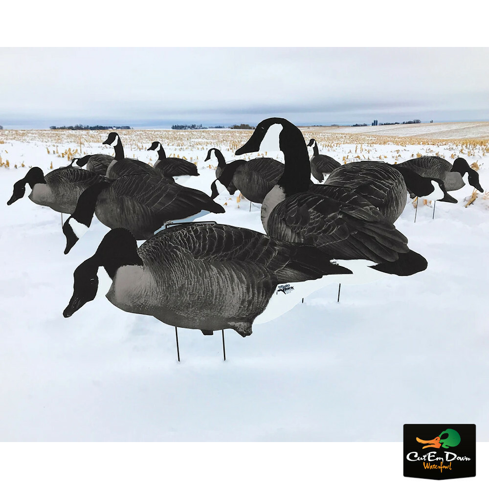 Goose Silhouette Decoys