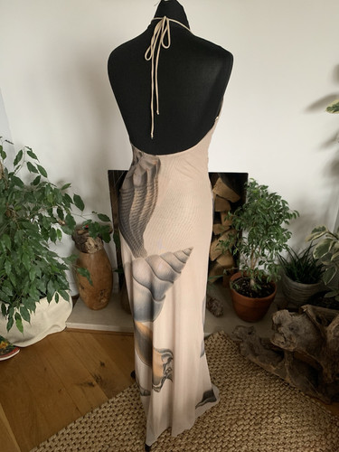 Zara Mesh Maxi Dress Long Lined Studies Of Shells And Marine Life ...