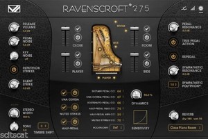 Waldorf Largo V1 7 5 Vst