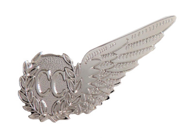 Cabin Crew Royal Air Force RAF MOD Single Wing Nickel Pin Badge ...