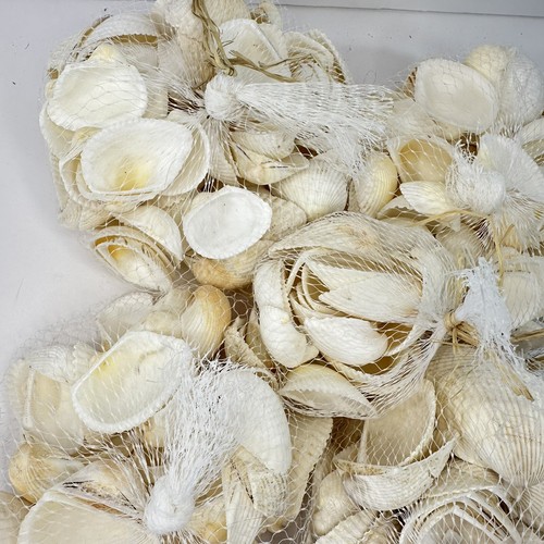 White Seashells Clam Shells Wedding Decor Cake Topper Crafting 3 Lbs | eBay