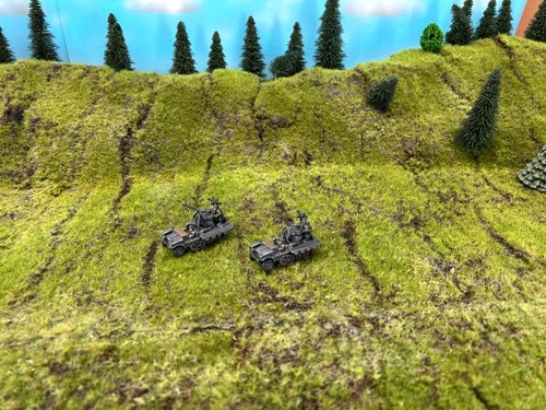 Flames of War German Sdkfz 10/4 2cm AA halftrack x2 Painted FOW ...