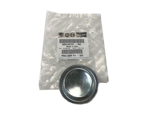 Original Alfa Romeo Fiat Lancia Kurbelwellengehäuse Froststopfen 50 mm ...