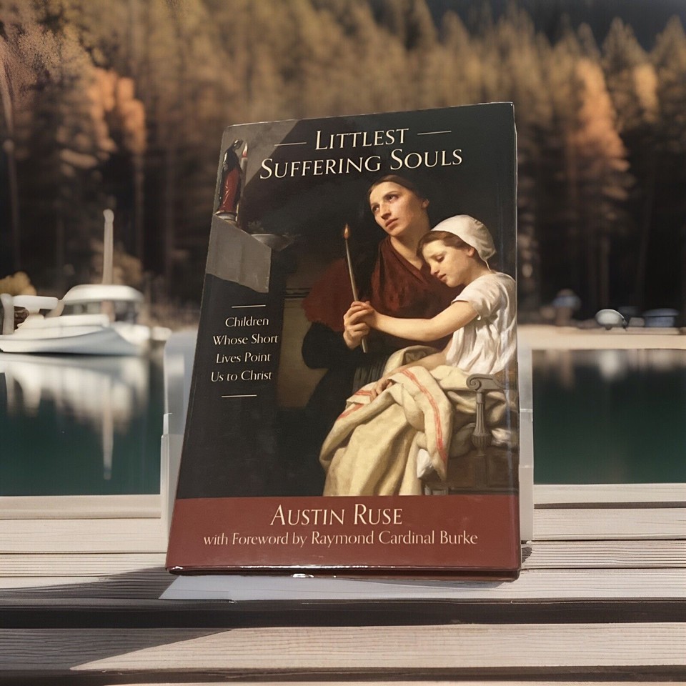 LITTLEST SUFFERING SOULS: CHILDREN WHOSE SHORT LIVES POINT By Austin Ruse NEW 9781505108392| eBay