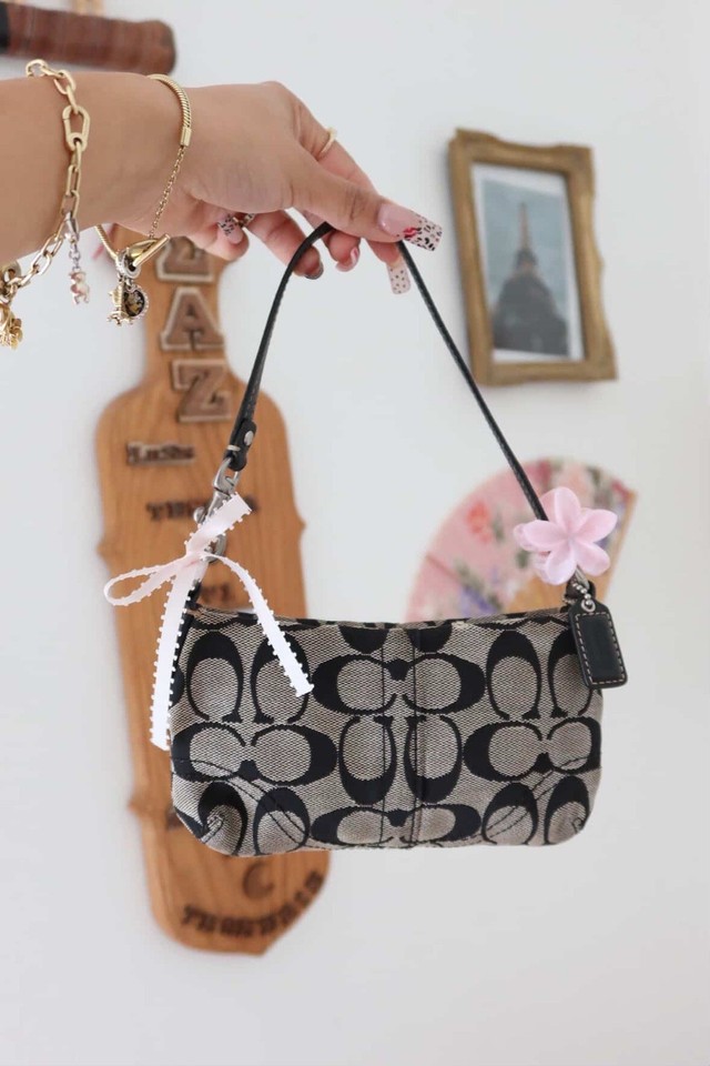 Coach monogram mini bag | eBay