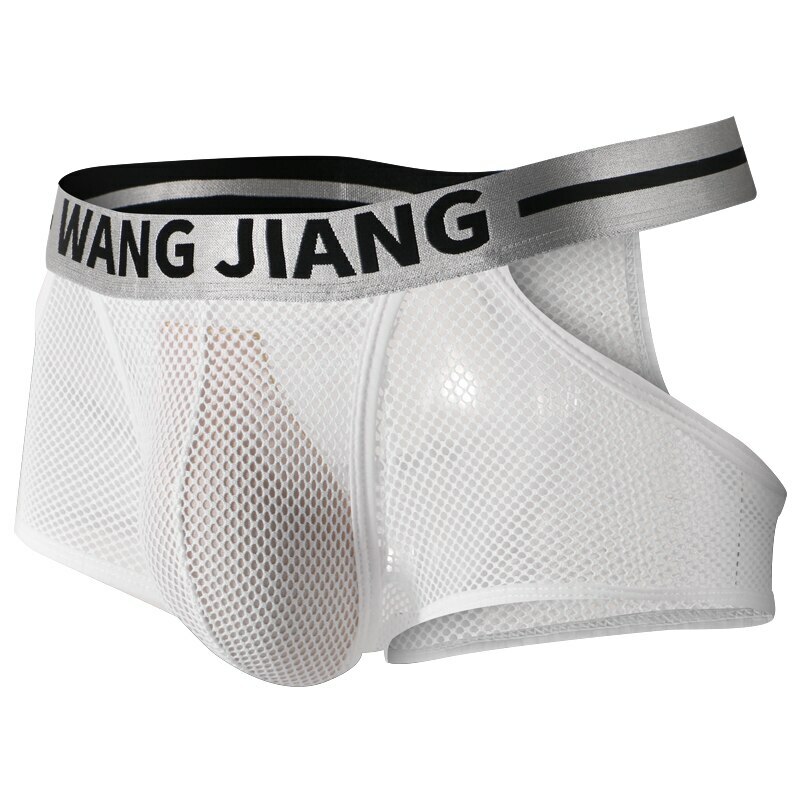 Seductive Mesh Boxer Briefs - Revealing Underwear with Transparent ...