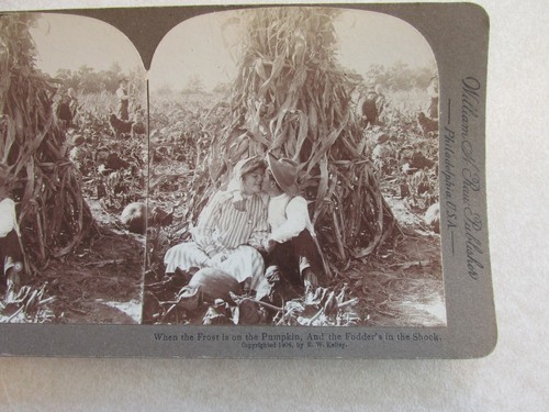 SV84 Stereoview Photo Card 2 young lovers kissing in Corn Pumpkin field ...