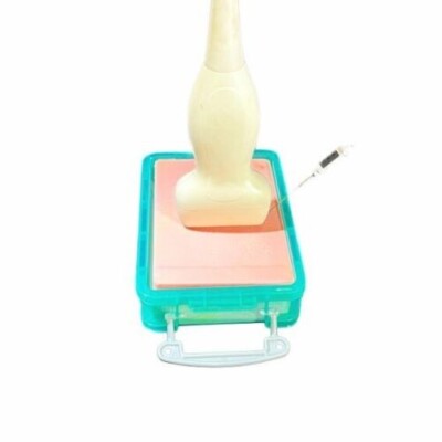 ultrasound phantom nerve bundle model | eBay