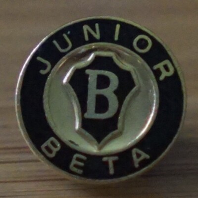 Junior Beta B - Vintage Lapel Pin Gold Tone Metal | eBay