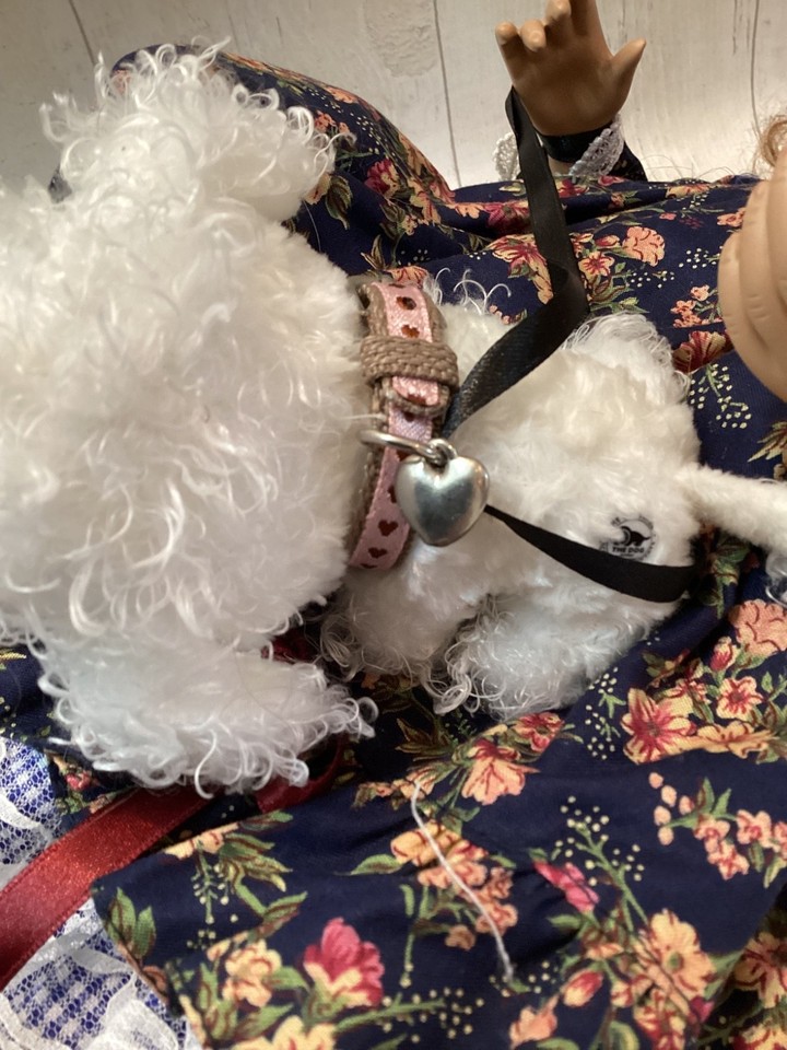 HAUNTED DOLL POSITIVE ENERGY Jean animal lover | eBay