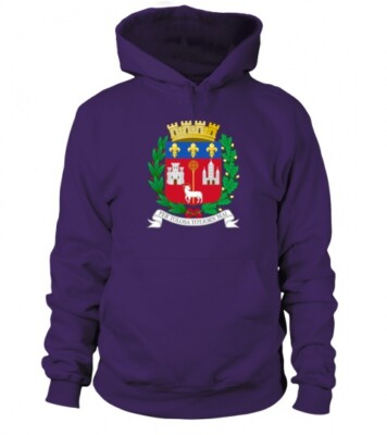 SWEAT CAPUCHE toulouse toulousain TFC ultras ultra DRAPEAU FRANCE FOOT ...