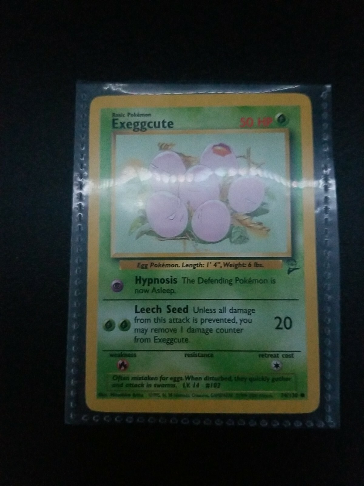 1995 Exeggcute pokemon card | eBay