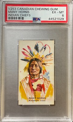 MANY HORNS 1930 V253 Canadian Chewing Gum Indian Chiefs PSA 6 EX-MT | eBay