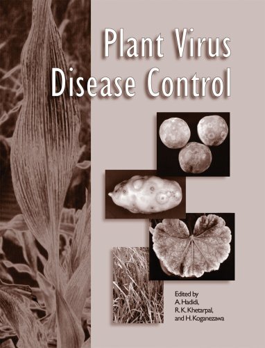PLANT VIRUS DISEASE CONTROL By A. Hadidi - Hardcover *Excellent ...
