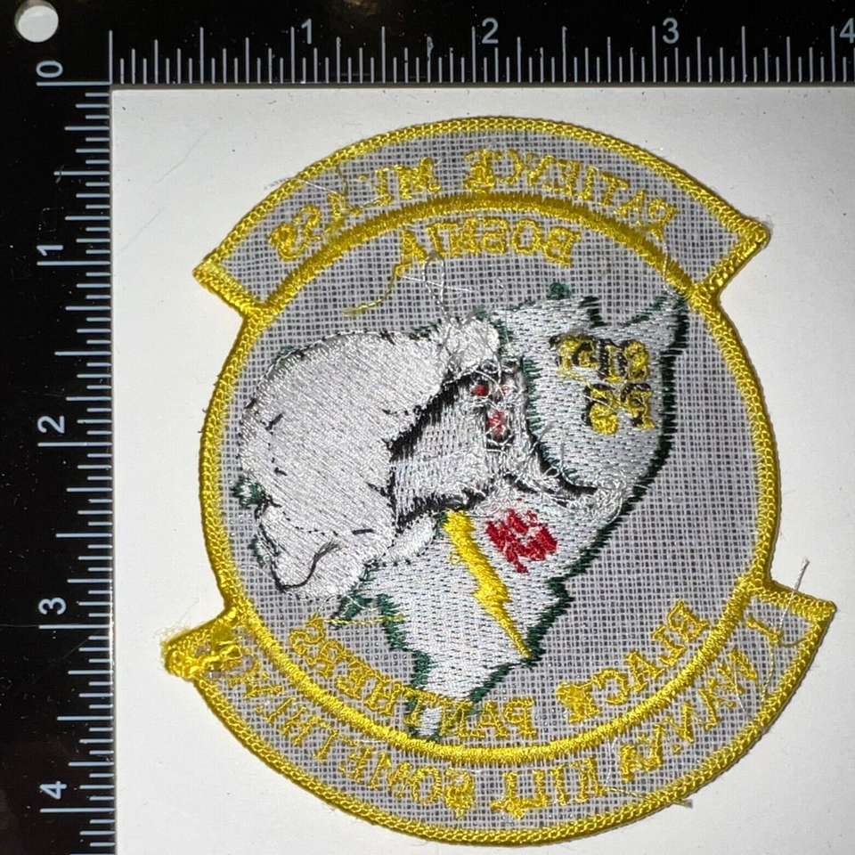 USAF 81st Fighter Squadron Black Panthers Bosnia Patience My Ass Kill ...