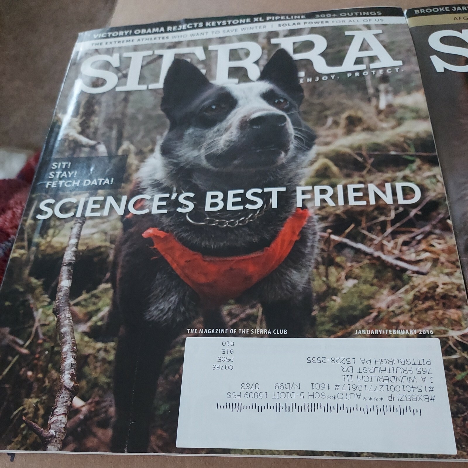 2016/2018 Sierra Magazines Lot of 3 -Magazine of the Sierra Club | eBay