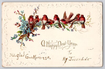 Happy New Year Robins Red Birds Bird Blue Flowers Postcard Josephine ...