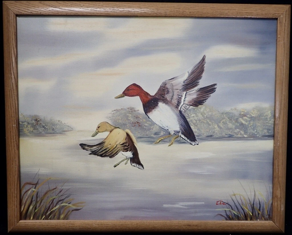 Ducks In Flight Art