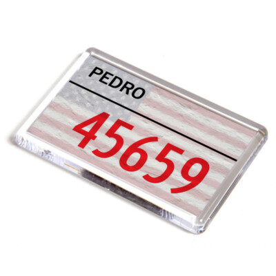 FRIDGE MAGNET - Pedro, 45659 - US Zip Code | eBay UK