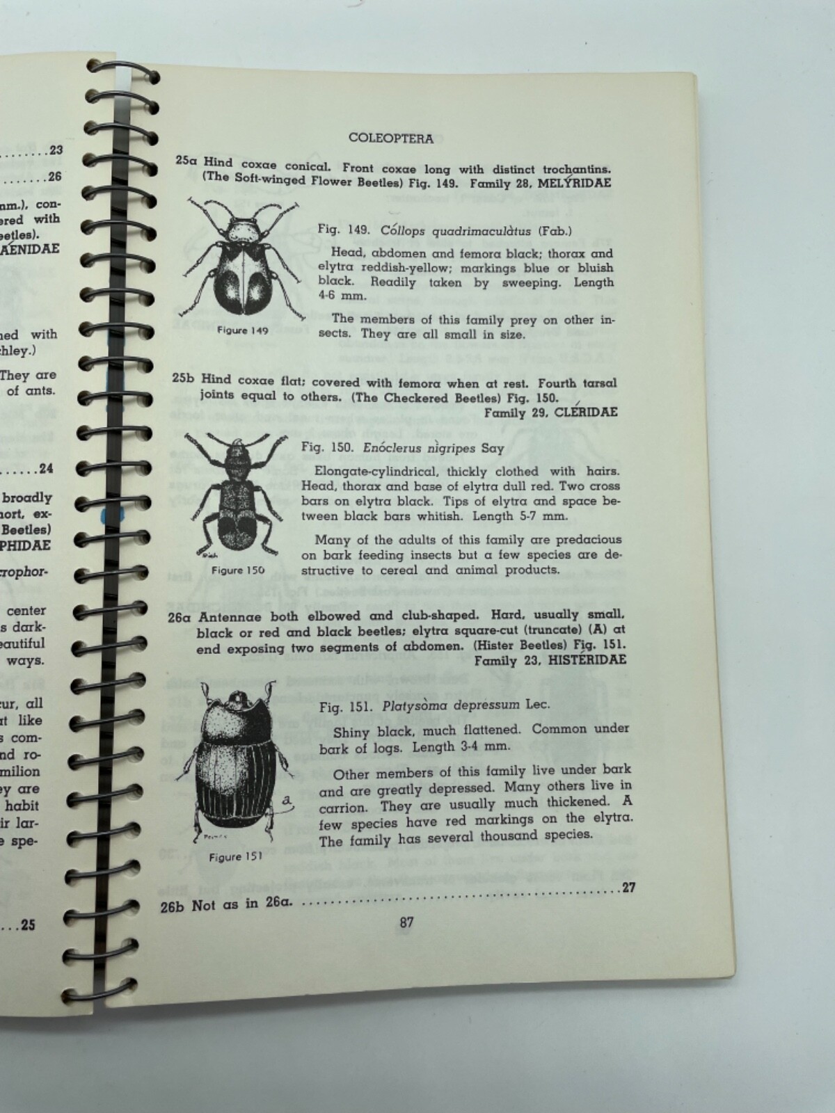 HOW TO KNOW THE INSECTS by H.E. Jacques 1947 PICTURED KEY NATURE SERIES ...
