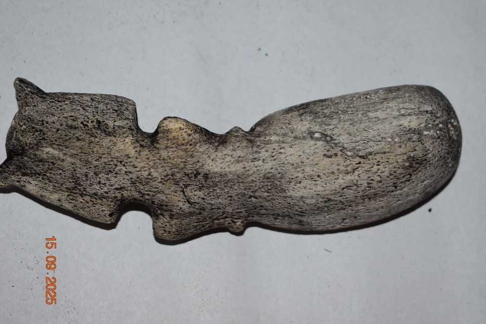 TAINO SHELL/BONE SPOON, 6" PROV | eBay