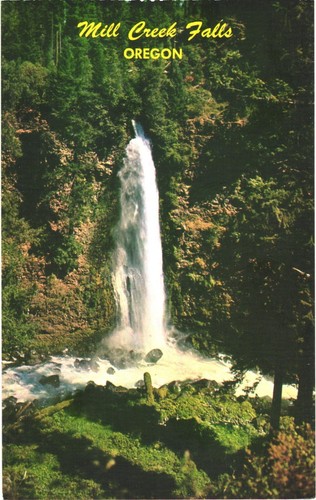 Oregon Mill Creek Falls seen from Crater Lake Highway Vintage Postcard ...