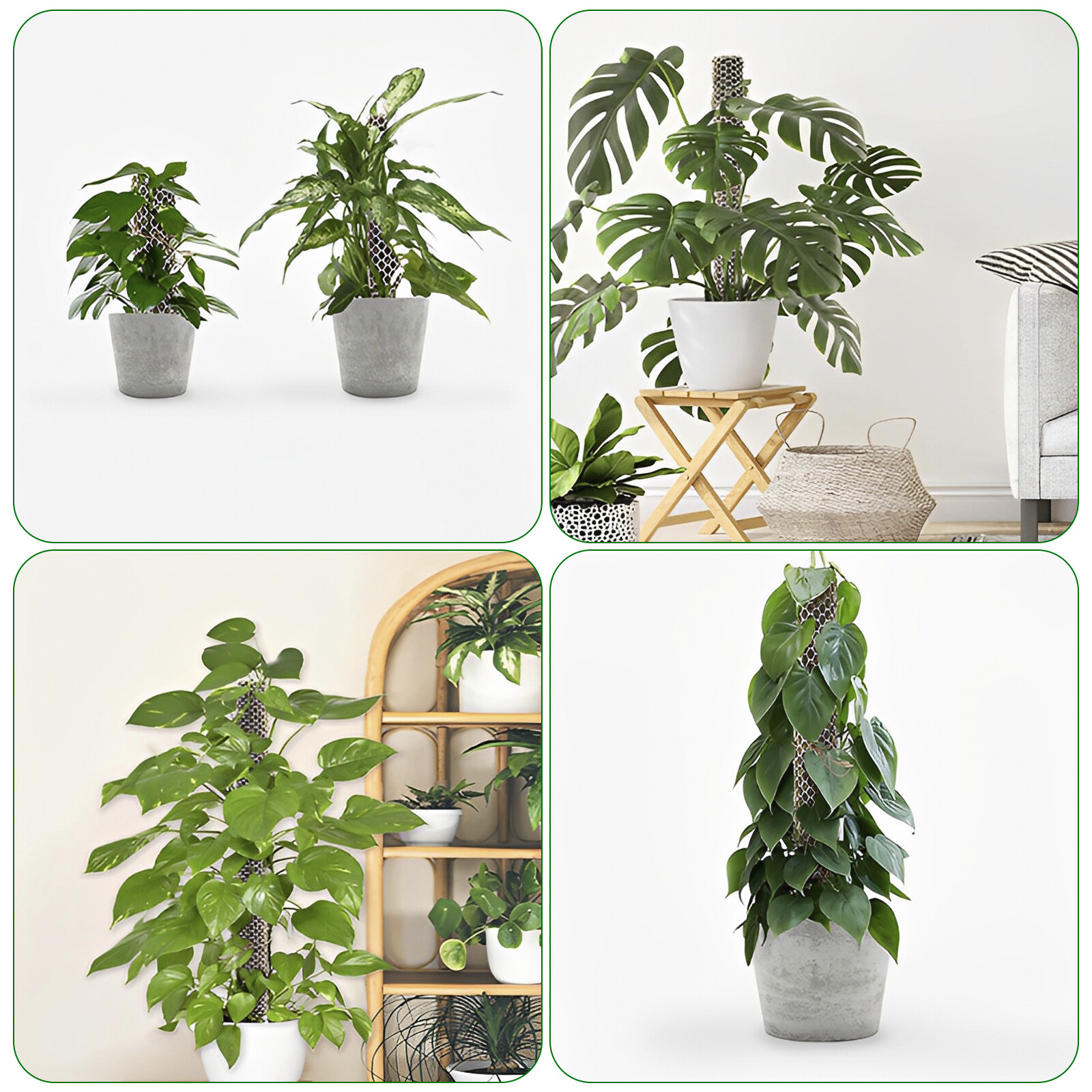 Moss Poles Mesh Kit Soft Flexible Moss Pole Sheets 12.6inchx10ft DIY ...