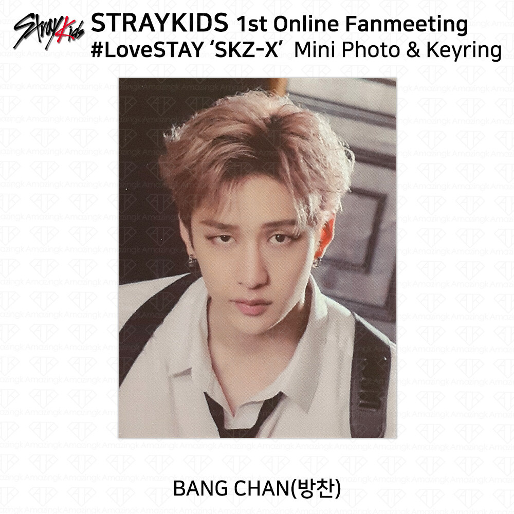Stray Kids 1st Online Fanmeeting #LoveStay SKZ-X Mini Photo & Keyring ...