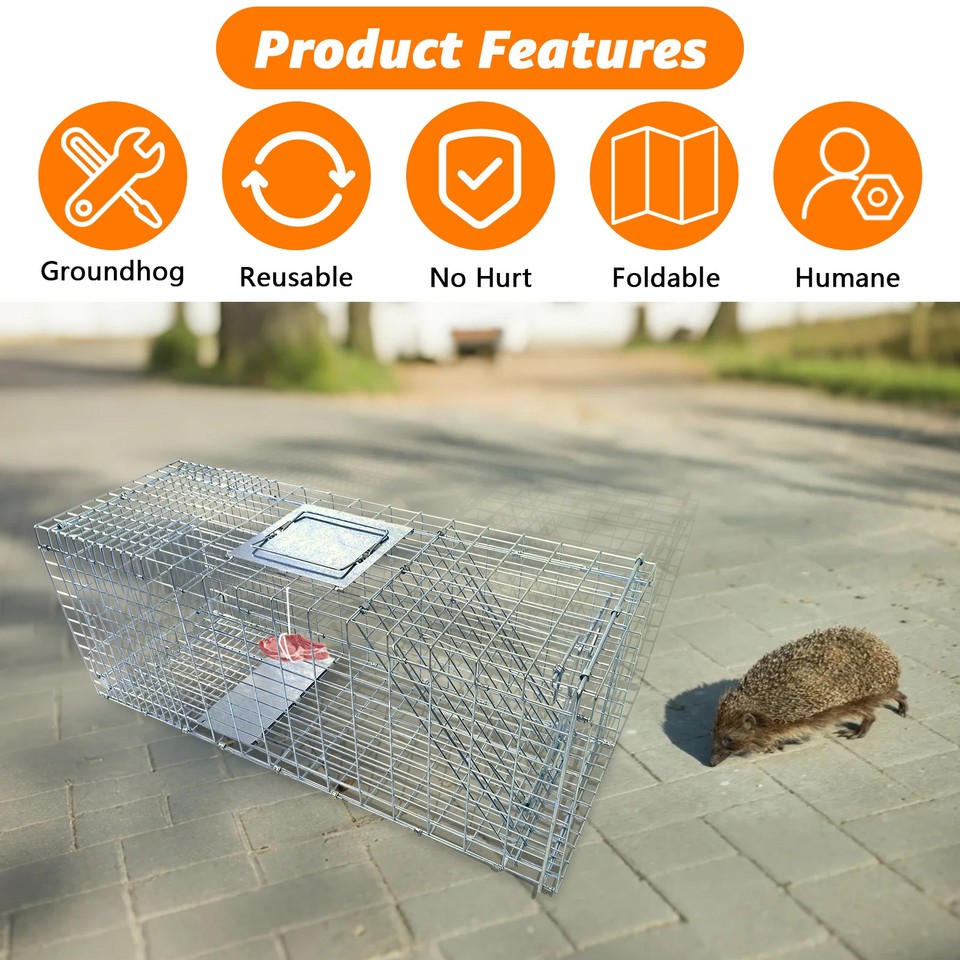 32" Animal Cage Trap, Folding Raccoon Traps for Armadillo Catch and ...
