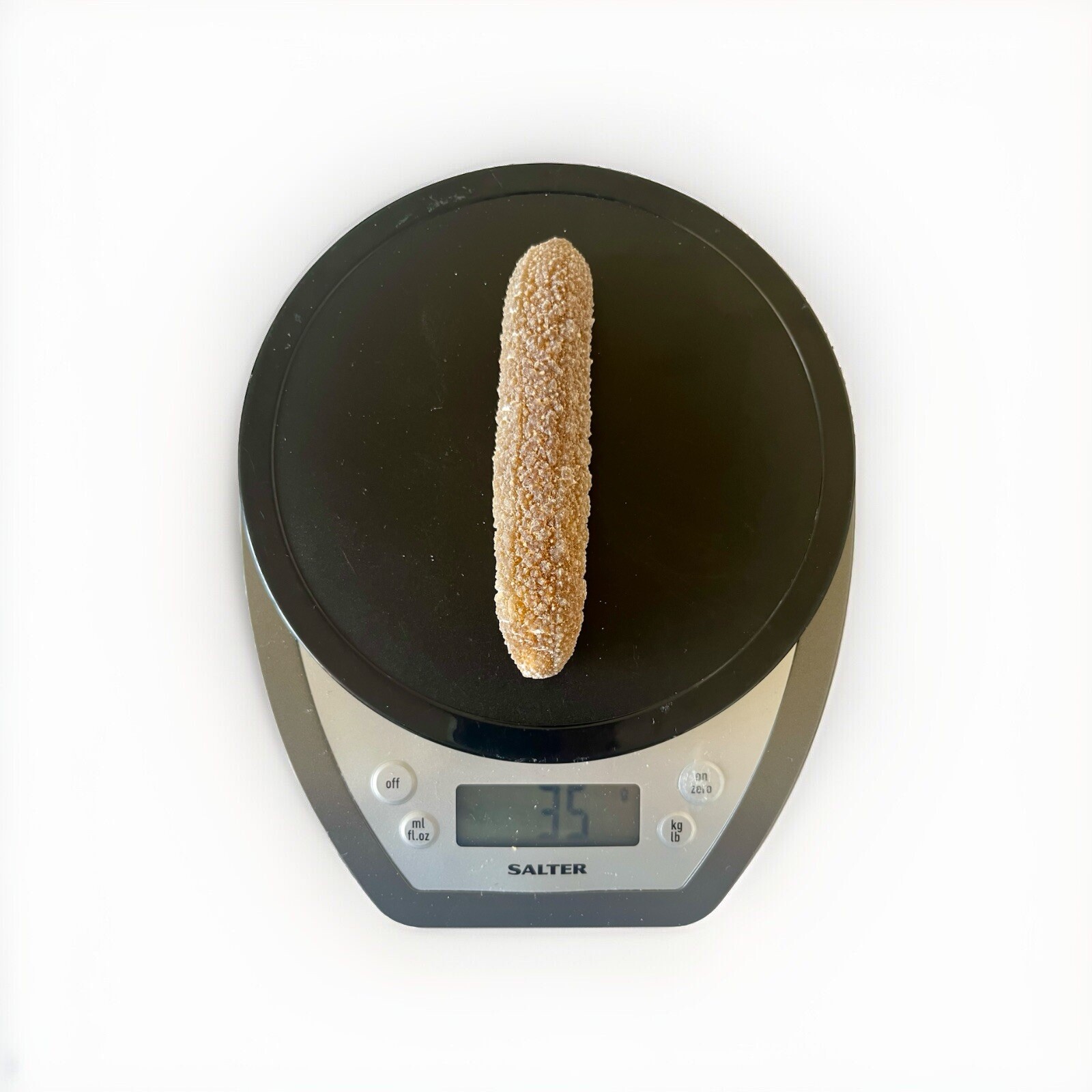 Australian Golden Sandfish Dried Sea Cucumber 精選澳洲野生金沙參 Size XL 15 ...