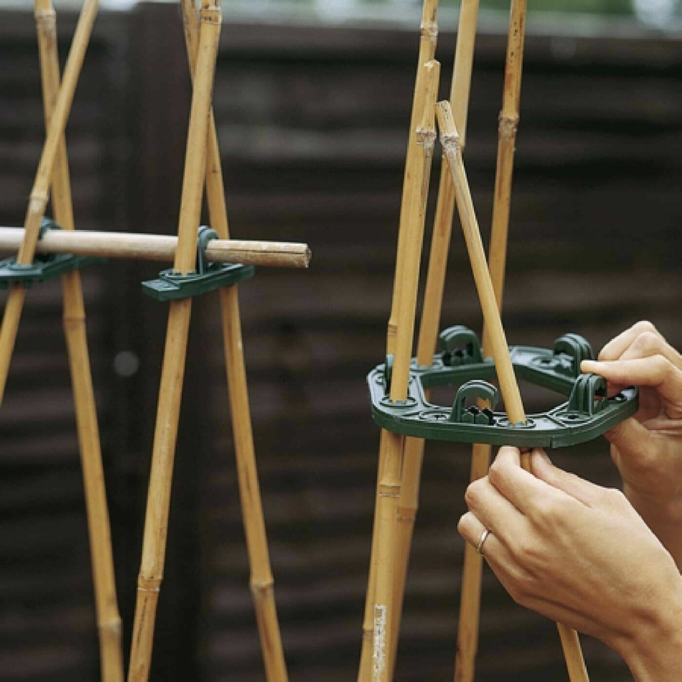 2ft- 6ft Plant Support Canes Bamboo Garden Thick Sticks Outdoor Strong ...